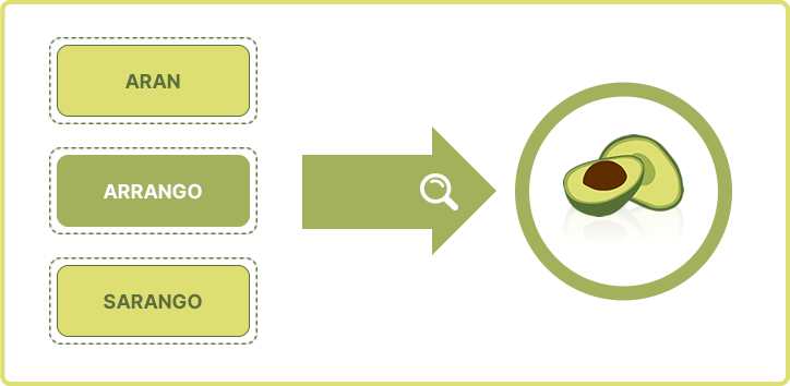 Arangodb Full Text Search Engine Efficient Text Searching
